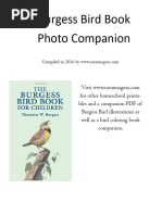 A to Z List of Bird Names | PDF