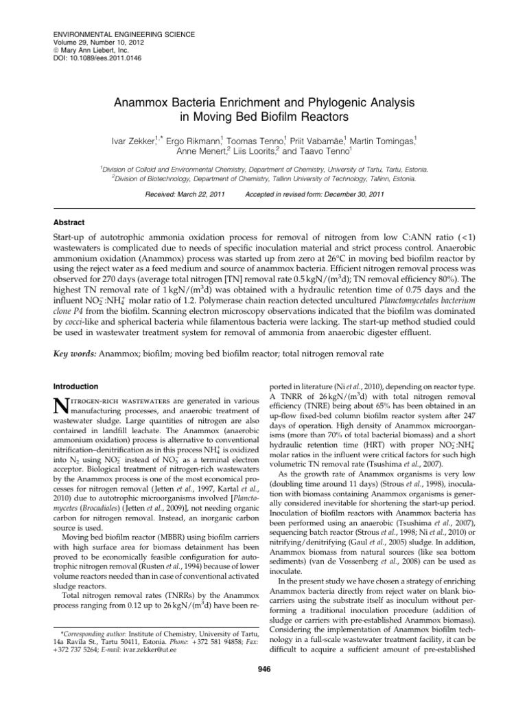 Anammox Bacteria Enrichment and Phylogen | PDF | Biology ...