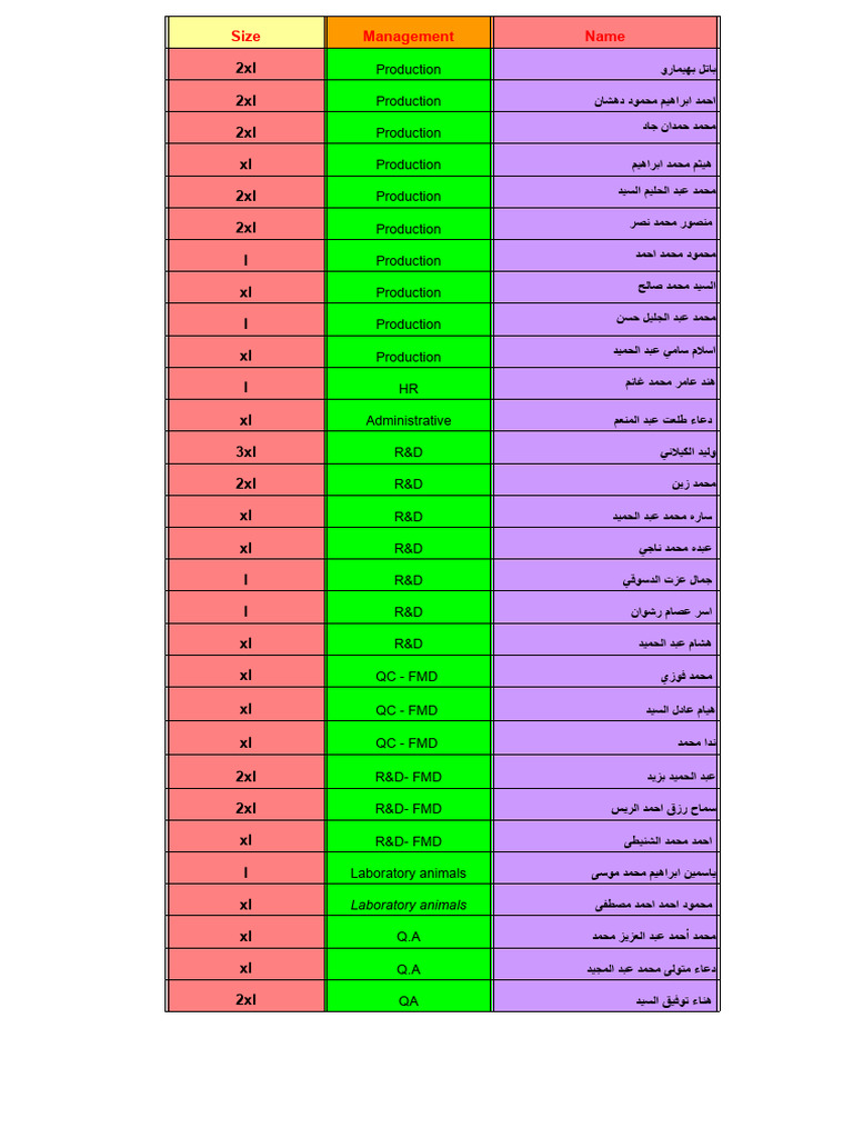 Employees Sizes | PDF