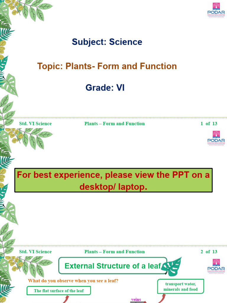 PPT4 CB VI Sci Leaves and Its Modifications Revision | PDF | Leaf | Stoma