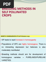 Pigeonetics Game Teacher Guide | PDF | Dominance (Genetics) | Allele