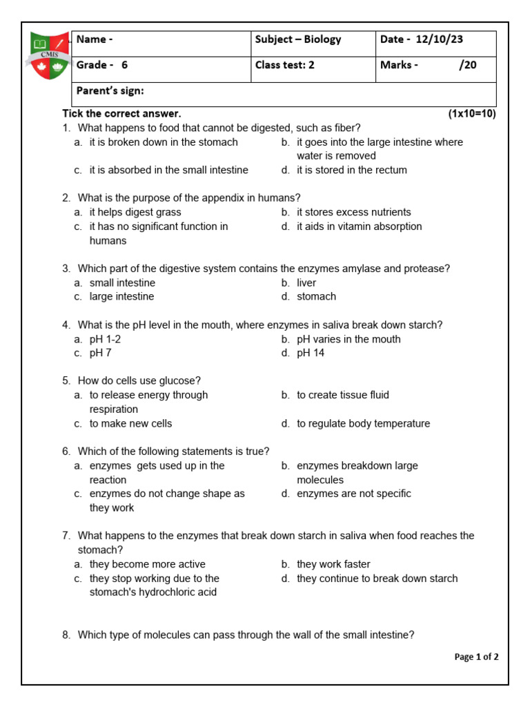 Digestive System Test for Grade 6 | PDF | Digestion | Enzyme
