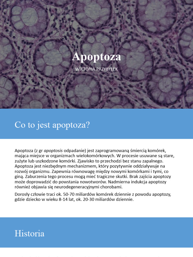 Apoptoza | PDF