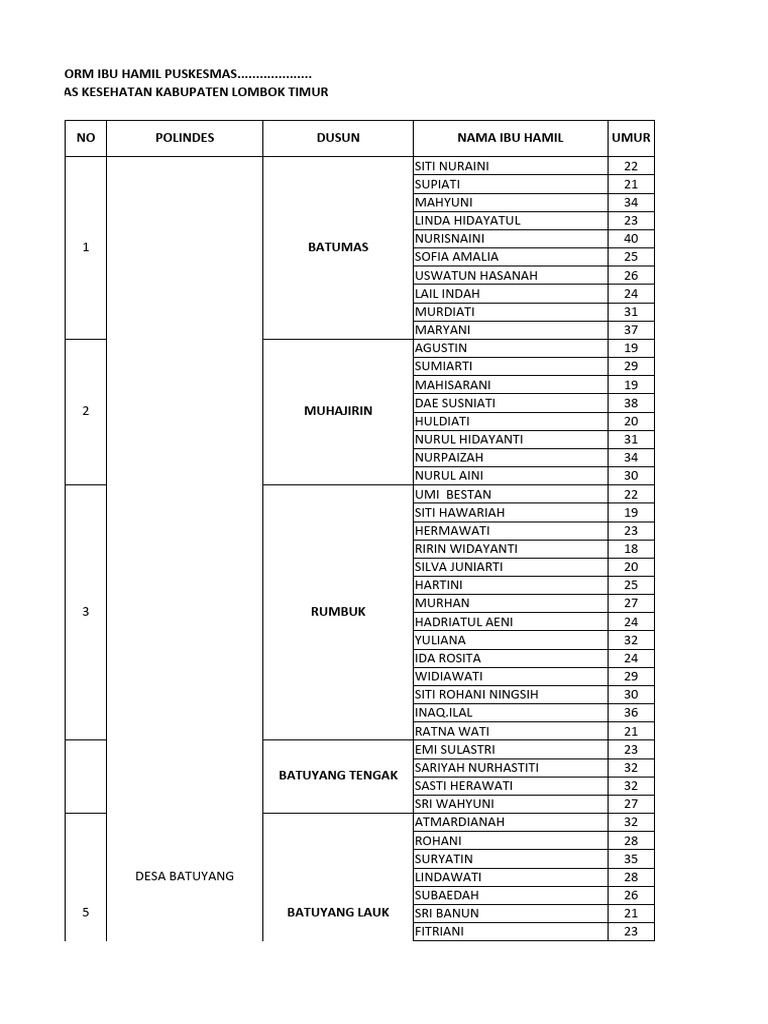 Form Data Bumil Dinkes TERBARU | PDF