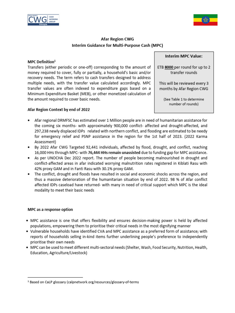 Interim MPC Guidelines for Afar Region | PDF | Internally Displaced Person