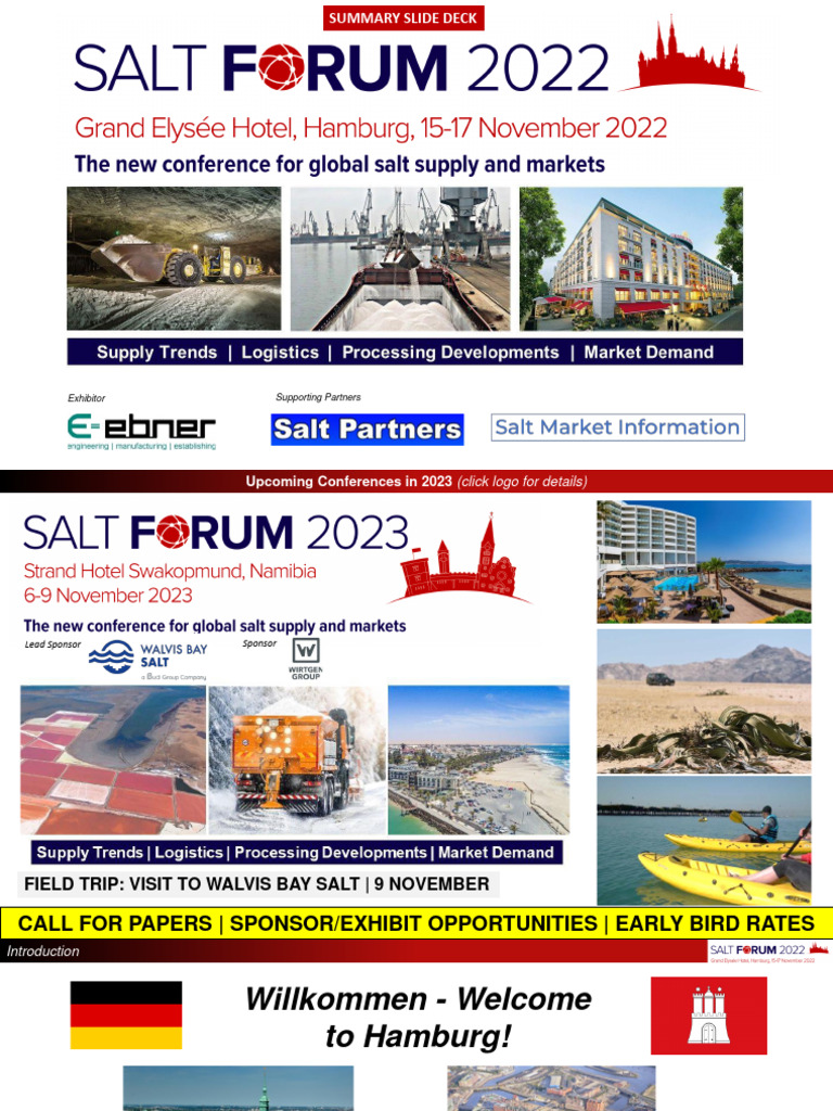 SUMMARY SLIDE DECK Salt Forum 2022 IMFORMED | PDF | Salt | Sodium Chloride
