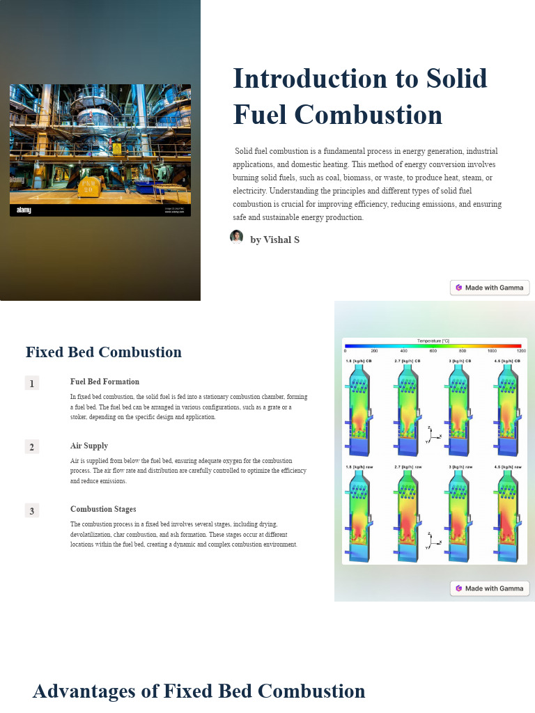 Solid Fuel Combustion Overview and Insights | PDF | Combustion ...
