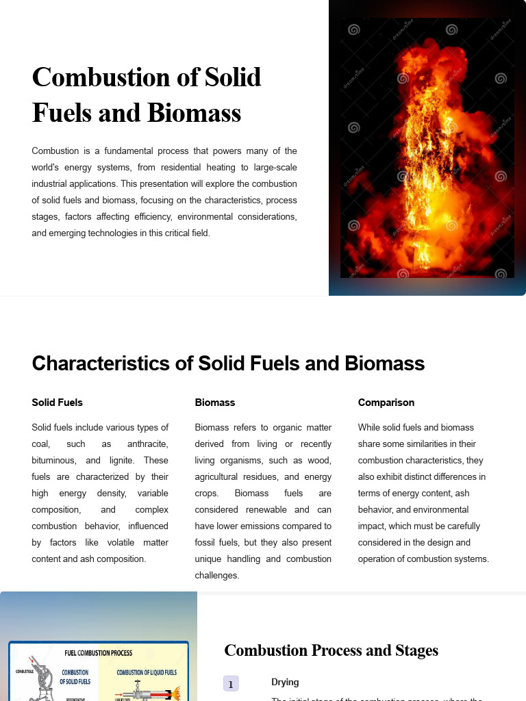 Combustion of Solid Fuels and Biomass | PDF | Combustion | Fuels