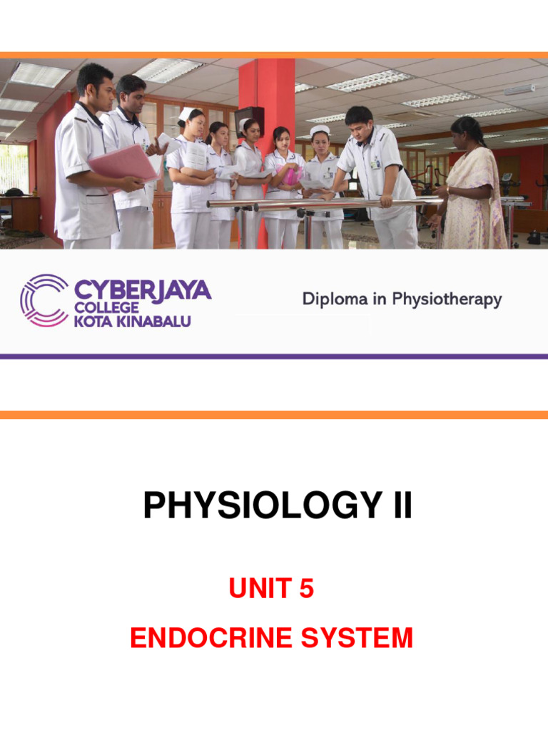 Unit 5 - Endocrine System CJCKK | PDF | Pituitary Gland | Thyroid
