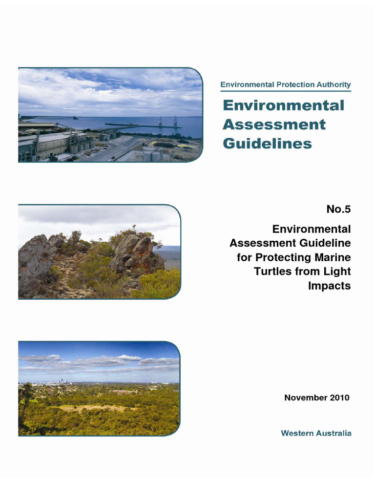 EAG 5 Lights Turtle 11110 | PDF | Sea Turtle | Turtle