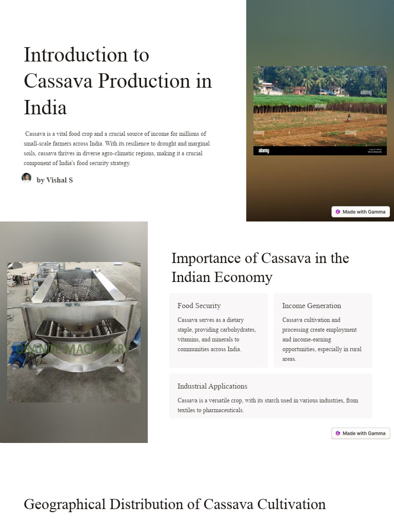 Introduction To Cassava Production in India | PDF | Agriculture | Economies