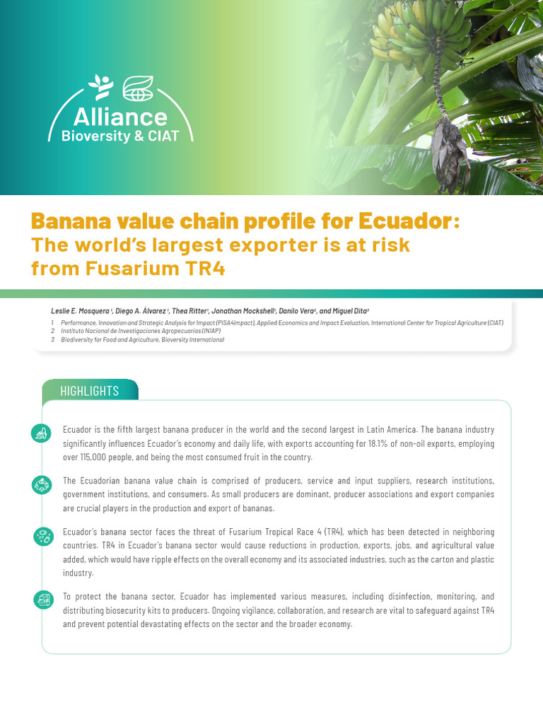 Banana Value Chain Profile - Ecuador | PDF | Banana | Ecuador
