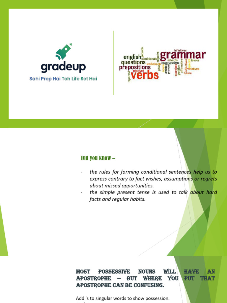 Grammar Rules and Common Errors Guide | PDF | Grammatical Number | Plural