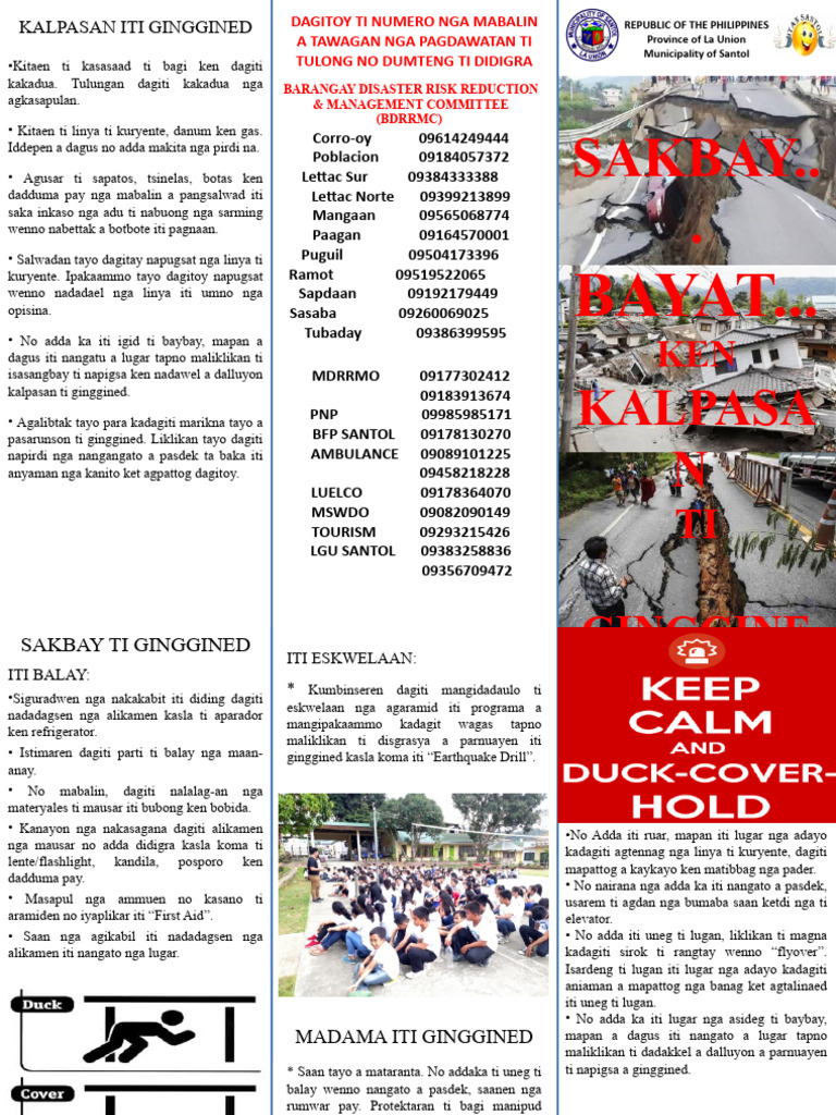 Earthquake MDRRMC Flyers | PDF