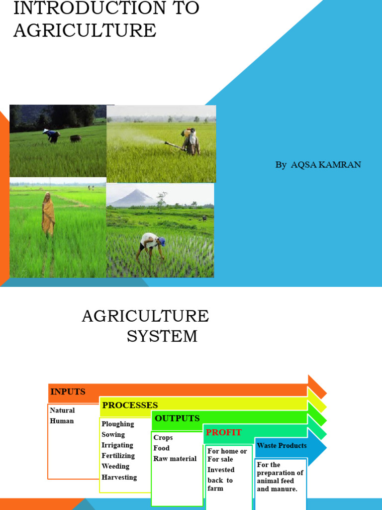 Introduction To Agriculture | PDF | Agriculture | Crops