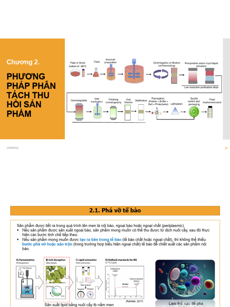 Chương 2 - KT TH HT SP | PDF