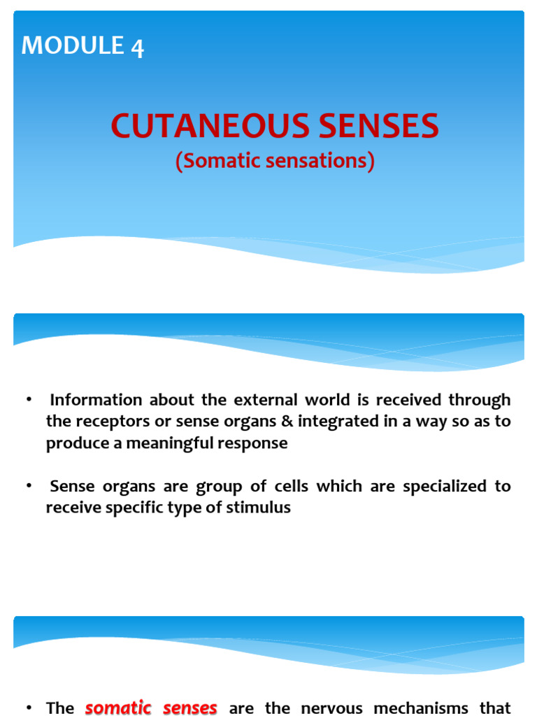 Somatic Senses | PDF | Senses | Somatosensory System