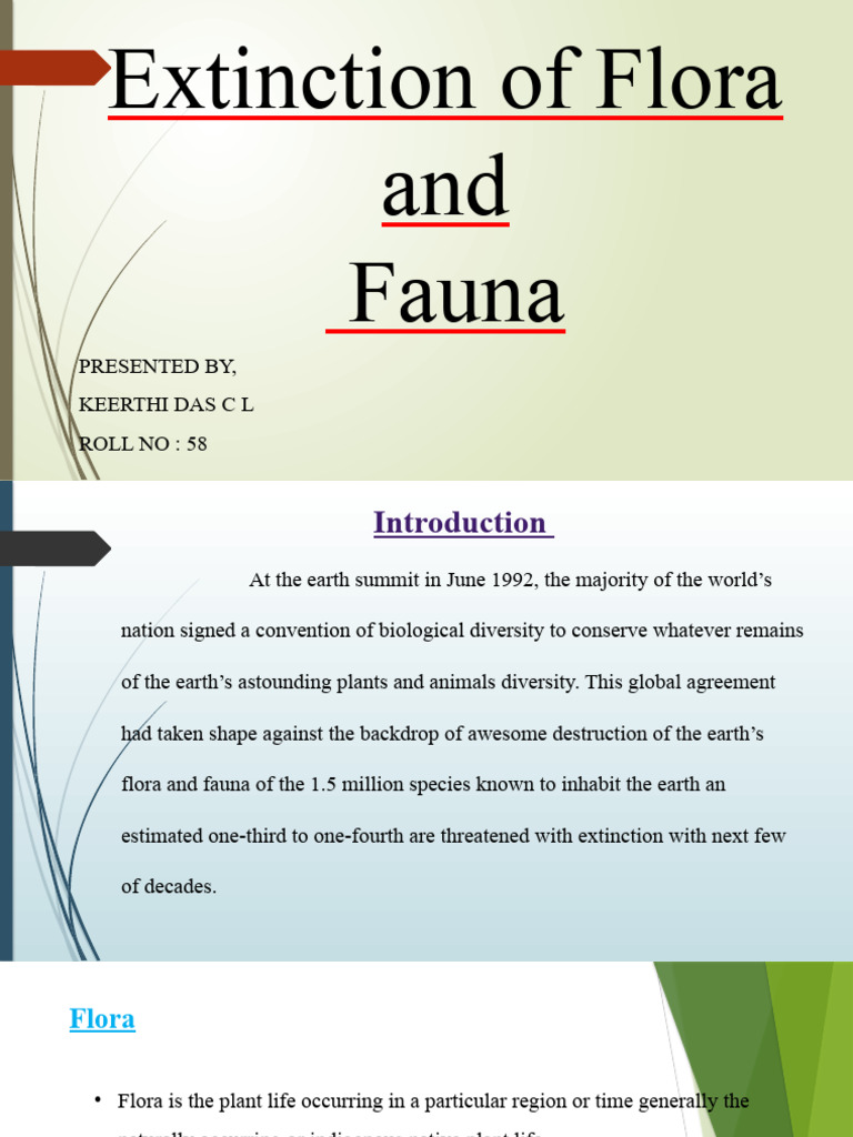 Presentation1 Flora (1) (1) - 3 | PDF | Soil | Conservation Biology