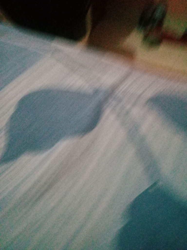 Scanned 20240730-1420 | PDF