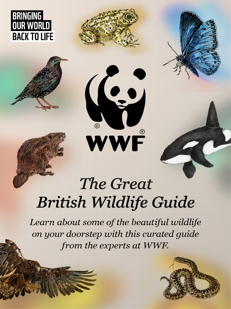 WWF Great British Wildlife Guide-Compressed | PDF | Eagle | Zoology