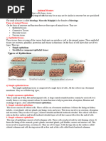 Animal Tissue NCERT | PDF | Epithelium | Connective Tissue