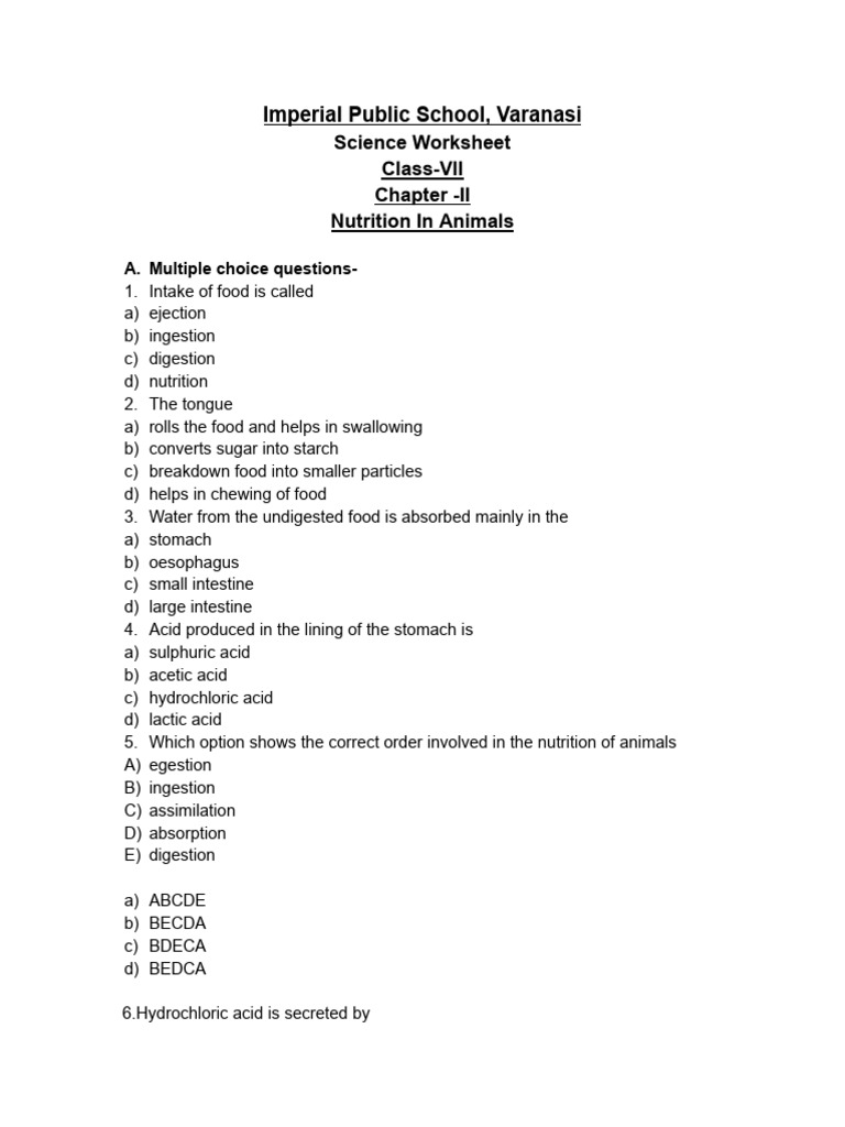 Class-VII Worksheet Nutrition in Animals | PDF | Digestion | Digestive ...