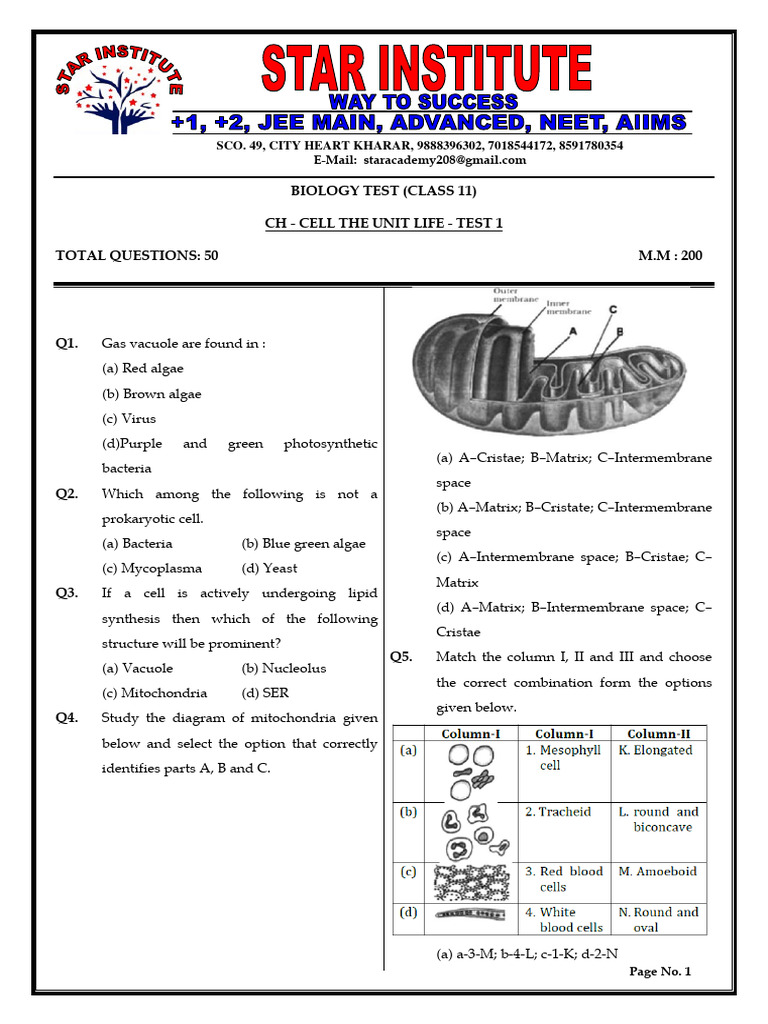 Class 11 - The Cell - Test 1 | PDF | Cell (Biology) | Cell Membrane