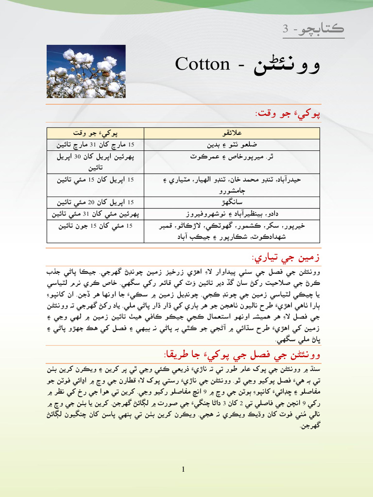 Cotton 3 | PDF