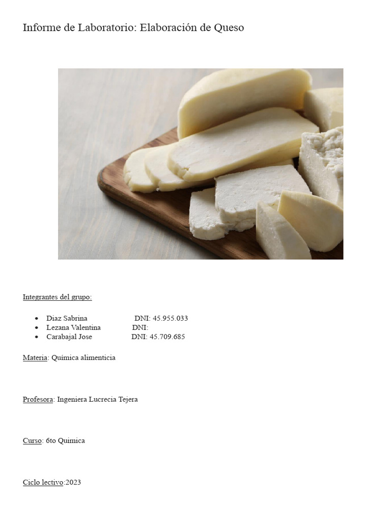 Informe Queso | PDF | Queso | Leche