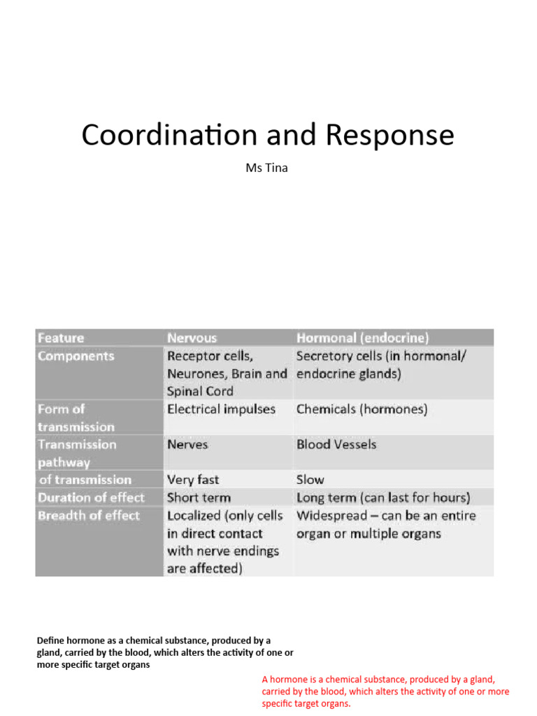 Coordination and Response Ms Tina | PDF | Auxin | Biology