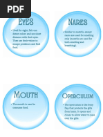 Fish Nares: Smell Mechanism Explained | PDF | Olfaction | Fish
