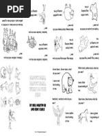 Brown Bear, Brown Bear: A Story Overview | PDF