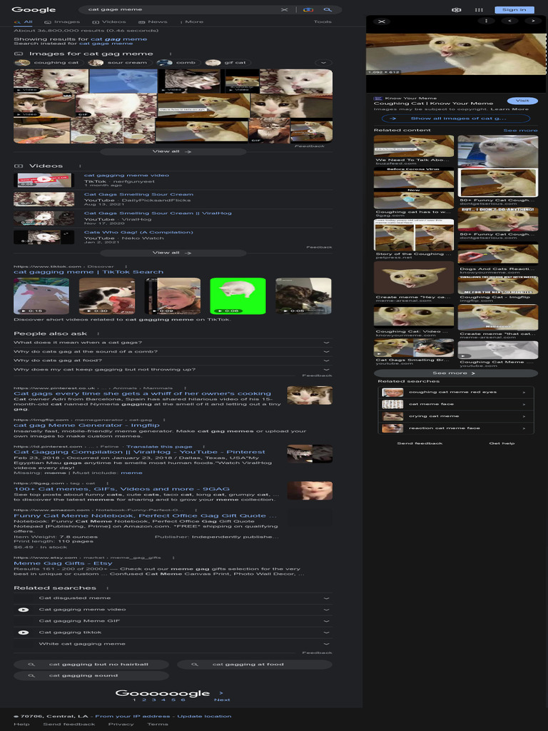 Cat Gage Meme - Google Search | PDF | You Tube | World Wide Web