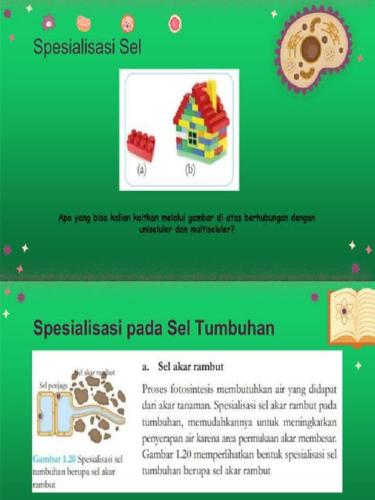Spesialisasi Sel | PDF