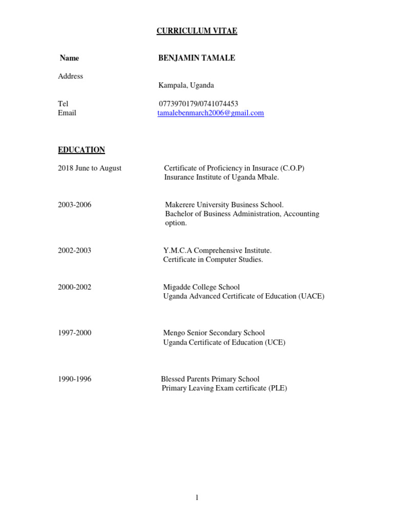 Benjamin Tamale CV 2024 | PDF | Insurance | Sales