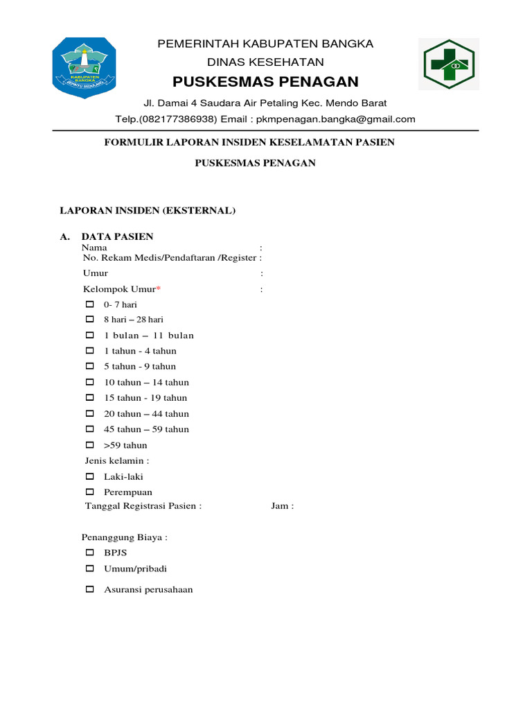 Formulir Pelaporan IKP Eksternal | PDF