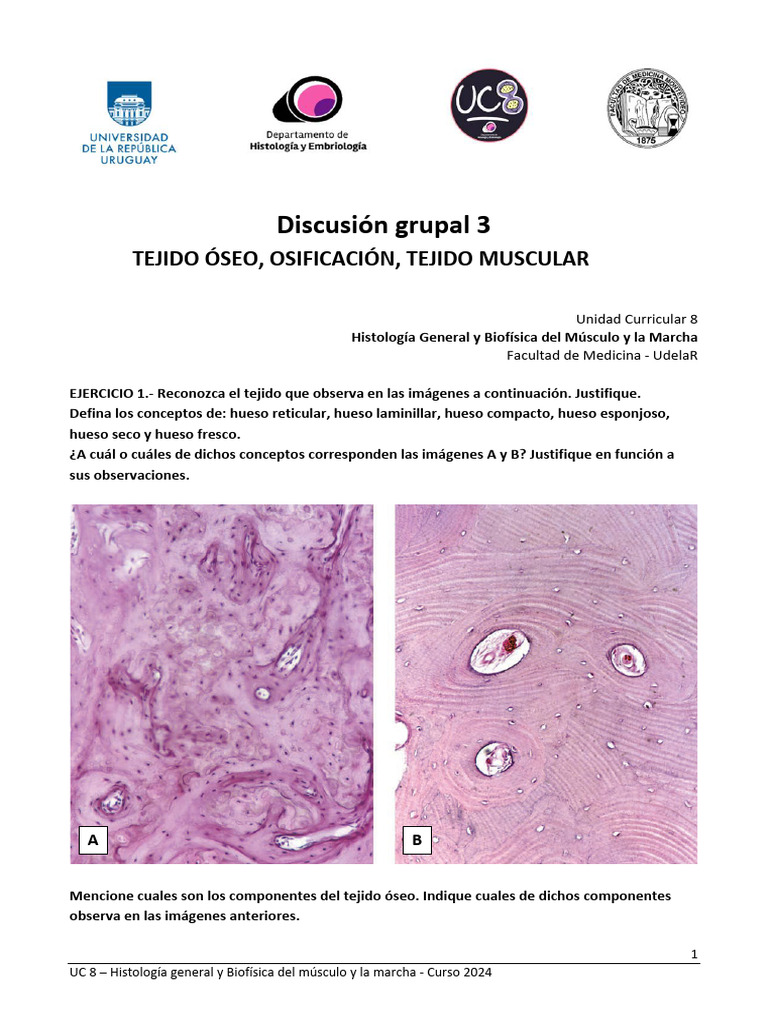 Histología y Biofísica del Tejido Óseo y Muscular | PDF | Hueso | Biología
