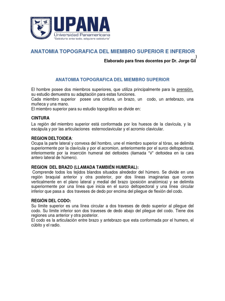 Anatomia Topografica de Miembros Superiores e Inferiores | PDF | Mano | Codo
