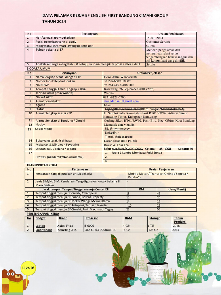 Formulir Data Pelamar Kerja EF 2024 | PDF