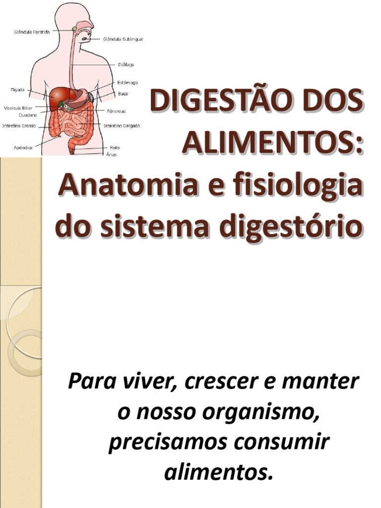 Aula 5 - Digestão dos alimentos anatomia e fisiologia do sistema ...
