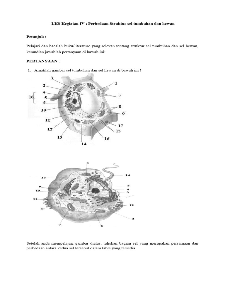 LKS Iv Perb Sel | PDF | Kajian Bahasa Asing