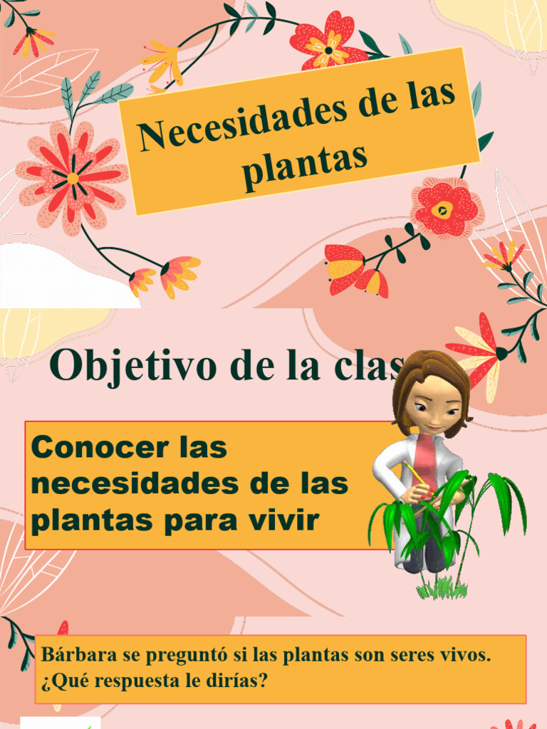 Necesidades de Las Plantas 3 Basico Clase 3 | PDF