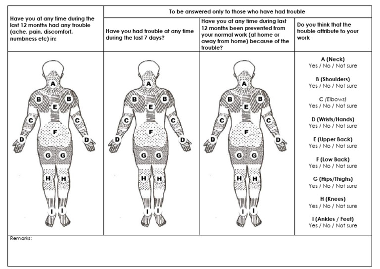 Nordic Questionnaires | PDF | Musculoskeletal System