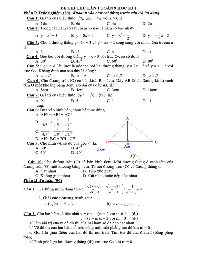 5 de Thi Thu HK1 | PDF