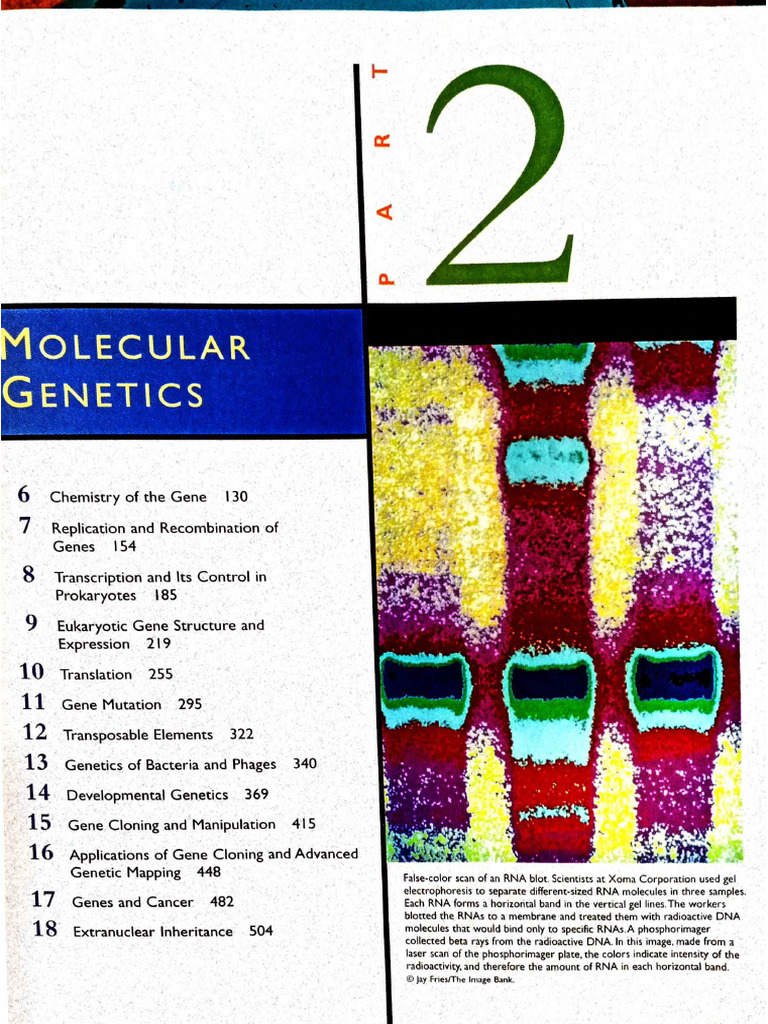 Chemistry of Genes, Replication and Recombination of Genes, Topic 1&2 | PDF
