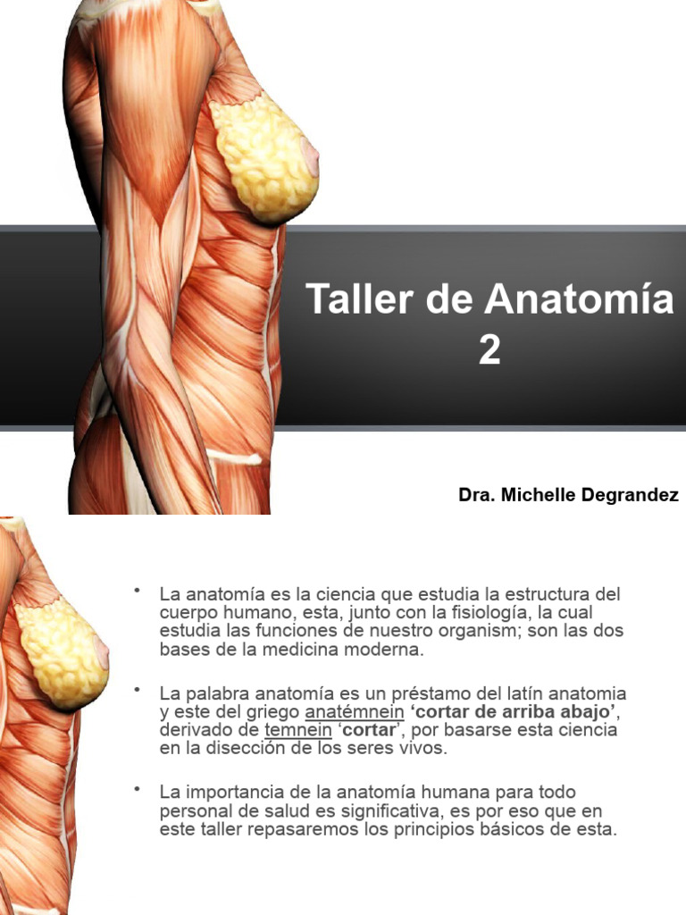 Taller de Anatomía 2 | PDF