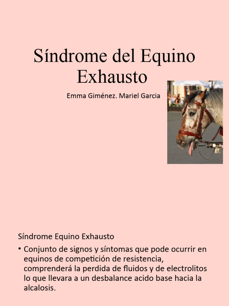 Manejo del Síndrome Equino Exhausto | PDF | Deshidración ...