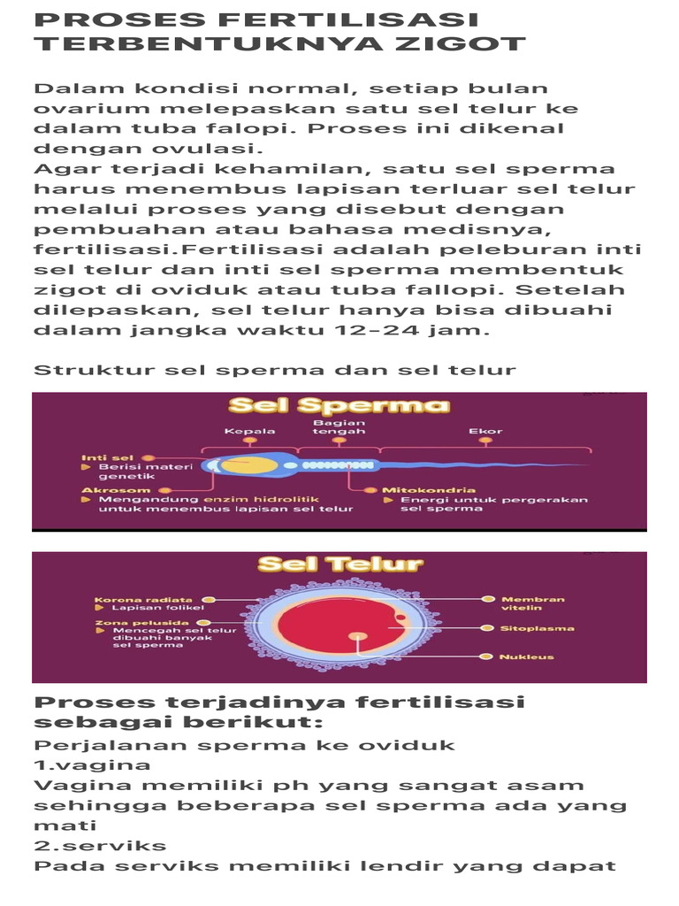 Proses Fertilisasi Terbentuknya Zigot | PDF