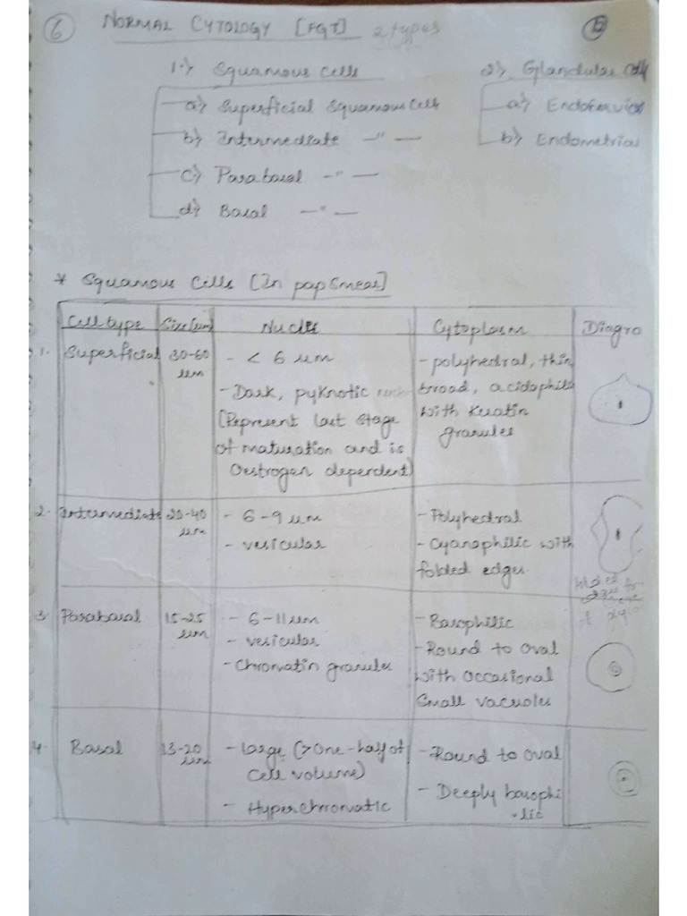 Normal Cytology of FGT | PDF