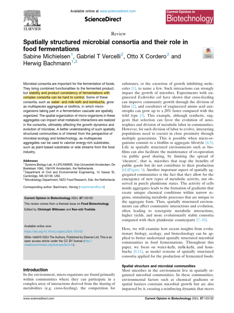 Michielsen-2024 - Microbial Consortia | PDF | Bacteria | Biofilm